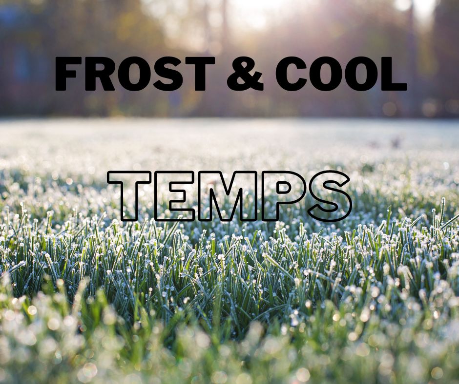Frost & Cool Temperatures - TCO Agromart Ltd.